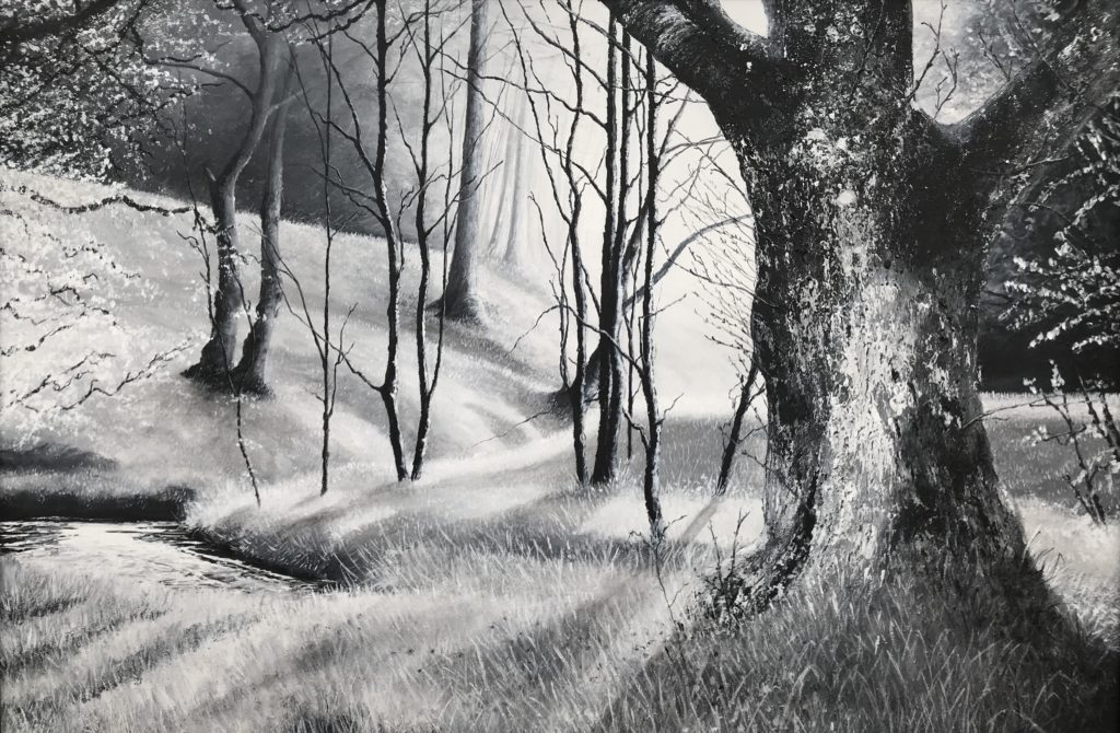 Gisburn Forest Ribble Valley - Ascot Studios